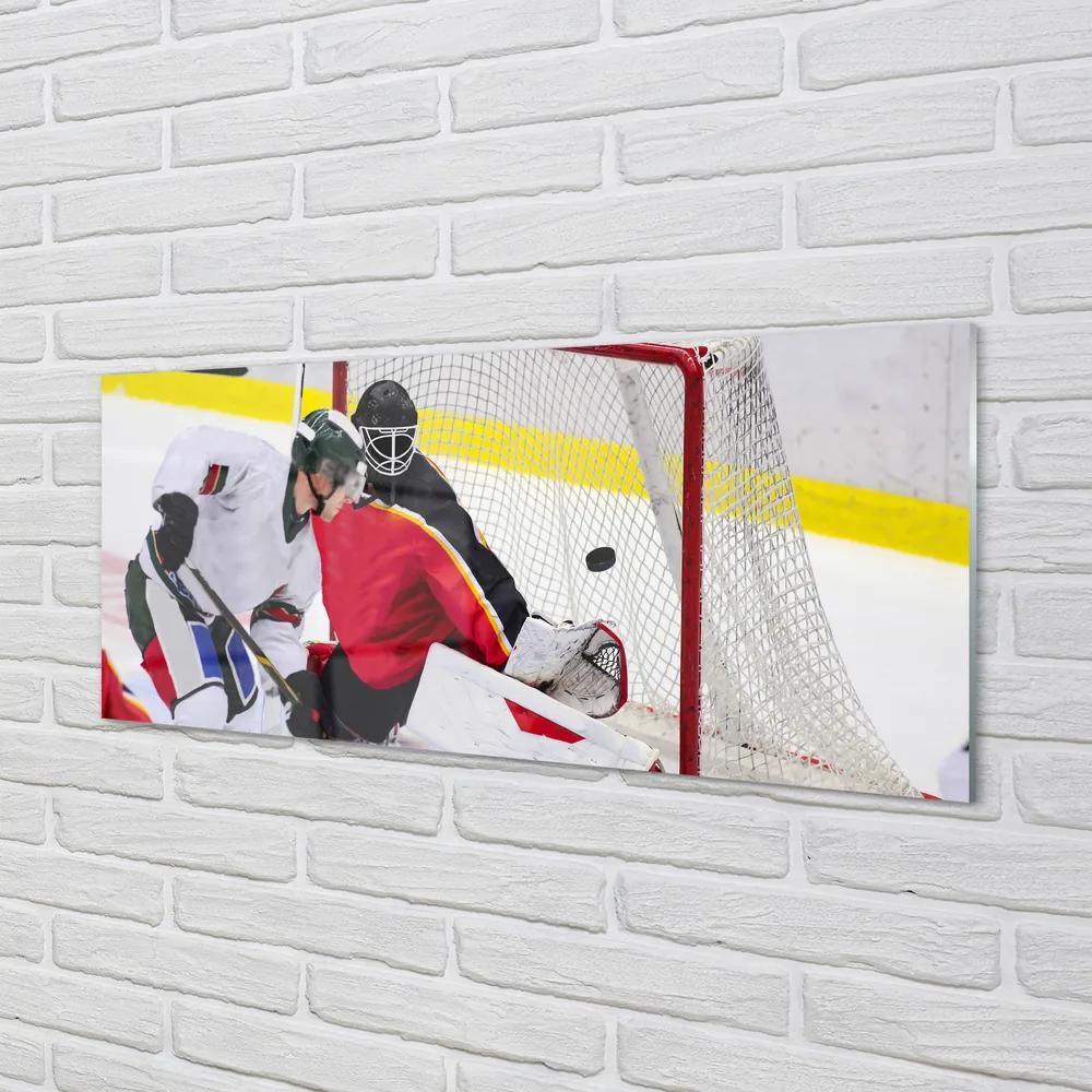 akrylový obraz brána hokej 120x60 cm