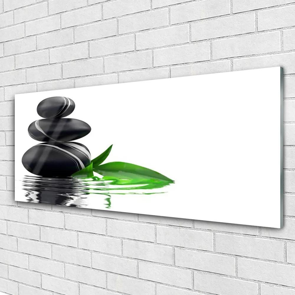 akrylový obraz Kameny Listy Voda Umění 125x50 cm