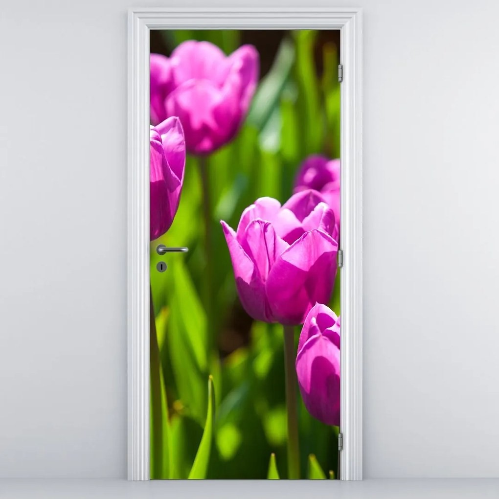 Fototapeta na dveře - Tulipány na louce (95x205cm)