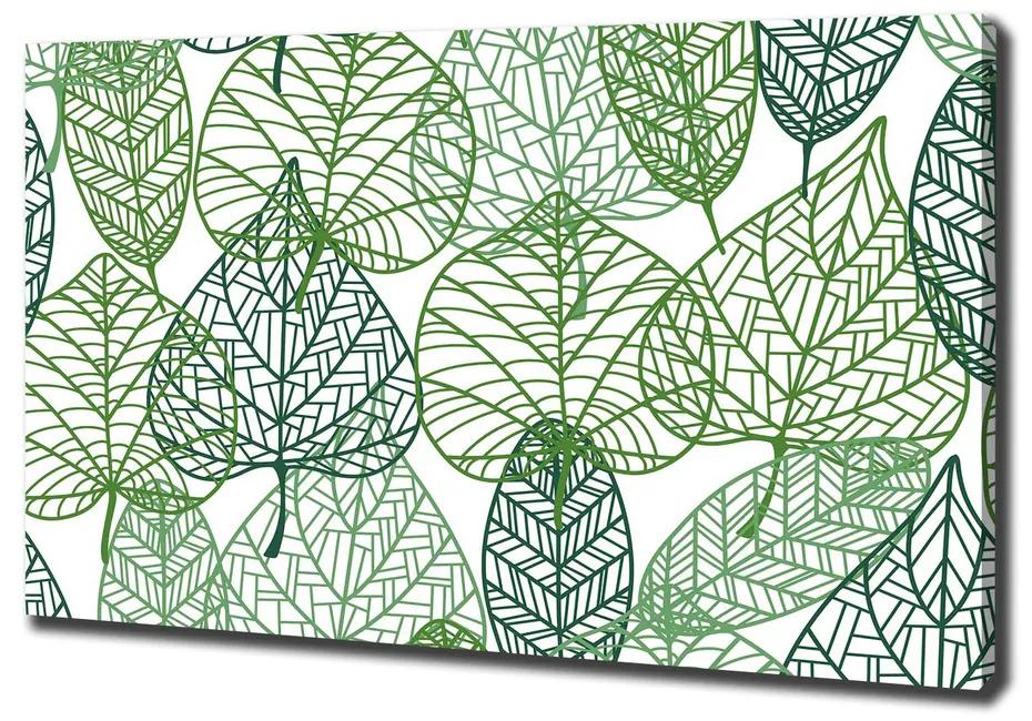 Wallmuralia Moderní obraz canvas na rámu Zelené listí vzor 100x70 cm