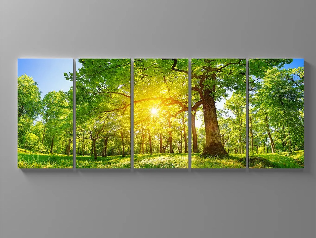 Liox Obraz silný strom Rozměr: 125 x 50 cm