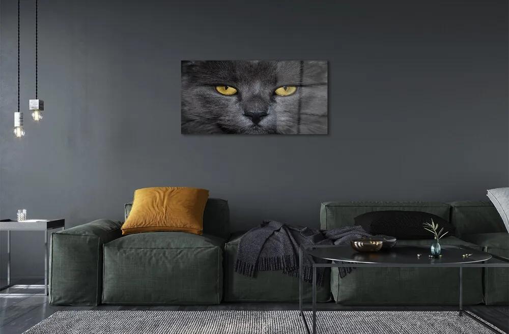 Obraz na skle Černá kočka 120x60 cm