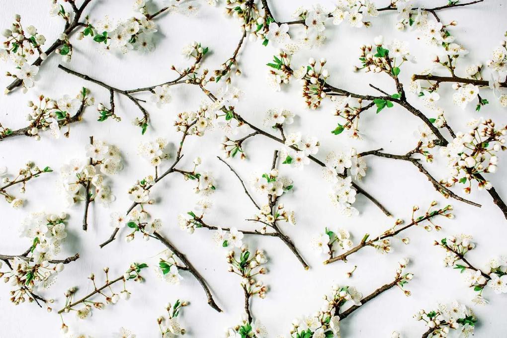 DIMEX | Samolepicí vliesová fototapeta na zeď Kvetoucí větve MA-5-1351 | 375 x 250 cm | zelená, bílá, hnědá