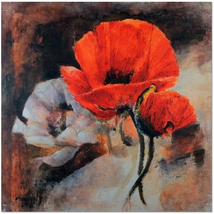 Obraz CARO - Poppies - Still Life 30x30 cm