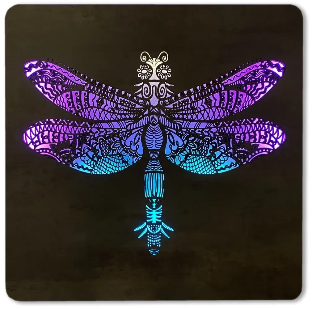 Li-Go "Vážka" světelný obraz RGB  230V 62x62cm provedení povrchu: dub světlý