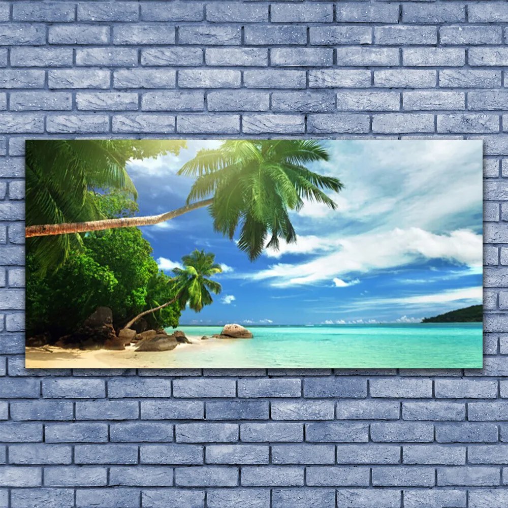 akrylový obraz Palma Pláž Moře Krajina 120x60 cm