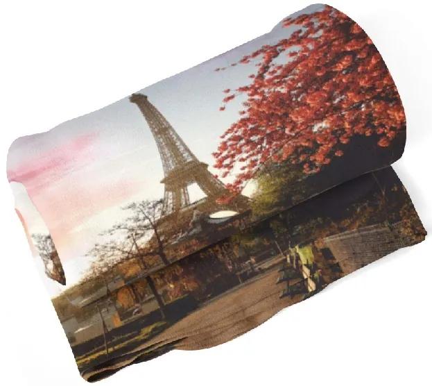 IMPAR Fleecová deka Eiffelovka 150x120 cm (Rozměr : 150 x 120 cm) | BIANO