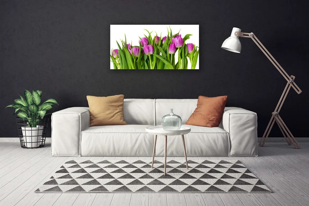 Obraz na plátně Tulipány Květiny Rostlina 100x50 cm