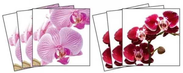 TI 011 Dekorace - samolepky na kachličky - Orchidej | 15 x 15 cm | bílá, červená, růžová