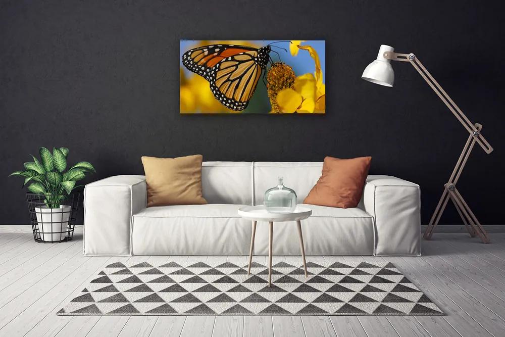 Obraz na plátně Motýl Květ Příroda 120x60 cm