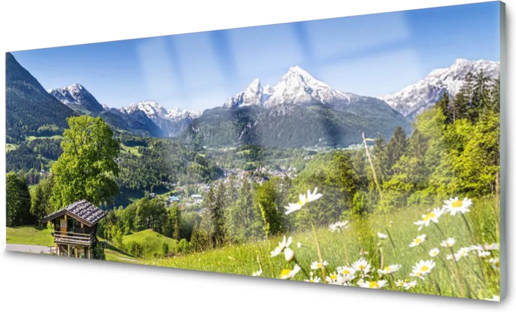 Obraz na skle Skleněný Hora Pole Příroda