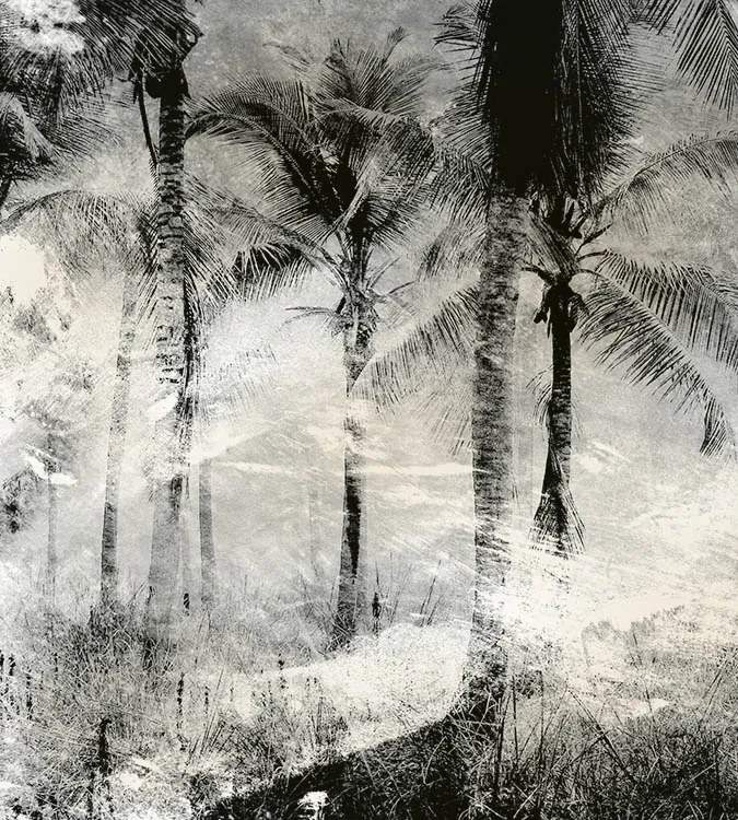 DIMEX | Vliesová fototapeta na zeď Abstrakt palmy MS-3-0374 | 225 x 250 cm | černá, bílá
