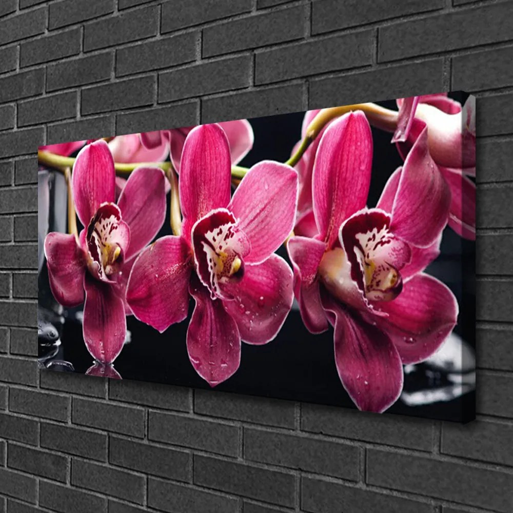 Obraz na plátně Květiny Orchideje  Výhonky Příroda 140x70 cm