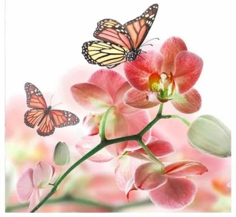 DIMEX | Vliesová fototapeta na zeď Motýli a orchideje MS-3-0146 | 225 x 250 cm | bílá, vícebarevná