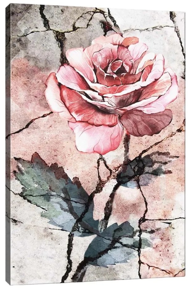 Nástěnný obraz na plátně Tablo Center Rose, 40 x 60 cm