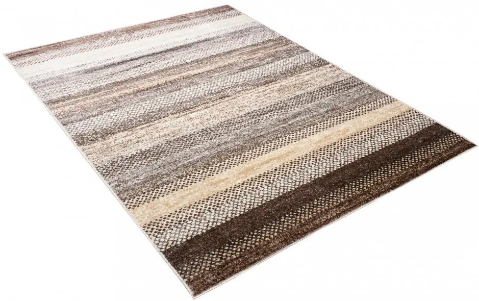 Moderní koberec s pruhy v hnědých odstínech Šířka: 120 cm | Délka: 170 cm