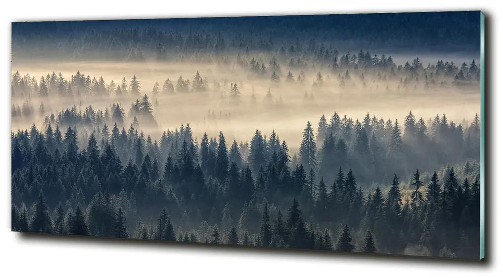 Foto obraz fotografie na skle Mlha nad lesem