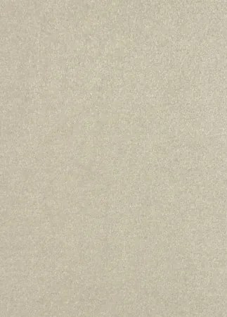 Koberce Breno Metrážový koberec AVELINO 33, šíře role 400 cm, Béžová