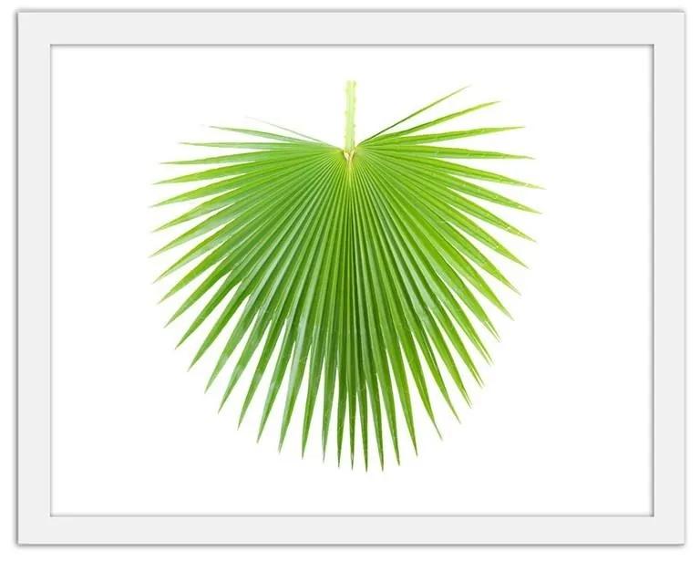 CARO Obraz v rámu - Green Palm Leaf 40x30 cm Bílá