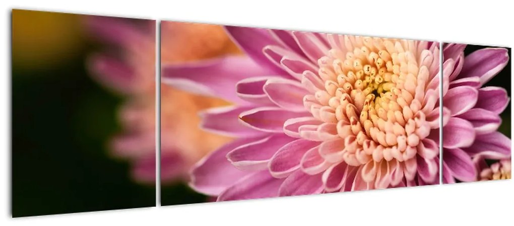 Detailní obraz květu (170x50 cm)