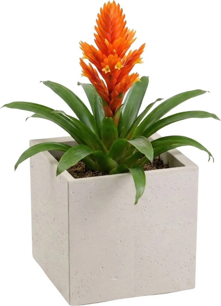 Sada 2 ks květináčů BETONIQUE 30x30/30x60 cm - výběr z 4 provedení