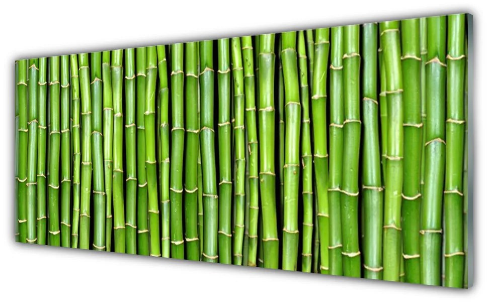 akrylový obraz Bambus Květ Rostlina 125x50 cm