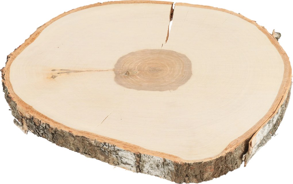 ČistéDřevo Dřevěná podložka z kmene břízy 33-38 cm
