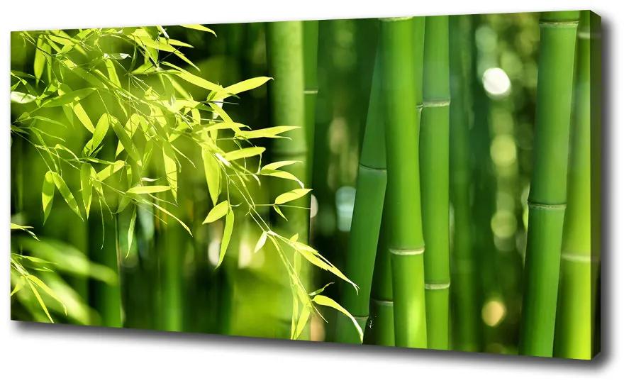 Wallmuralia Foto obraz canvas Bambus 100x50