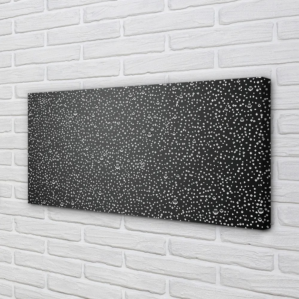 Obrazy na plátně Rosy kapky vody 100x50 cm