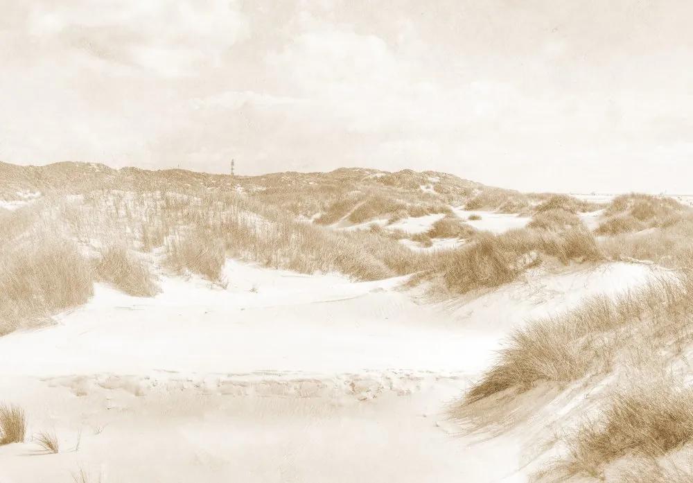 Fototapeta Dune Paradise Faded Vintage In Sepia Omyvatelný vlies 254x184