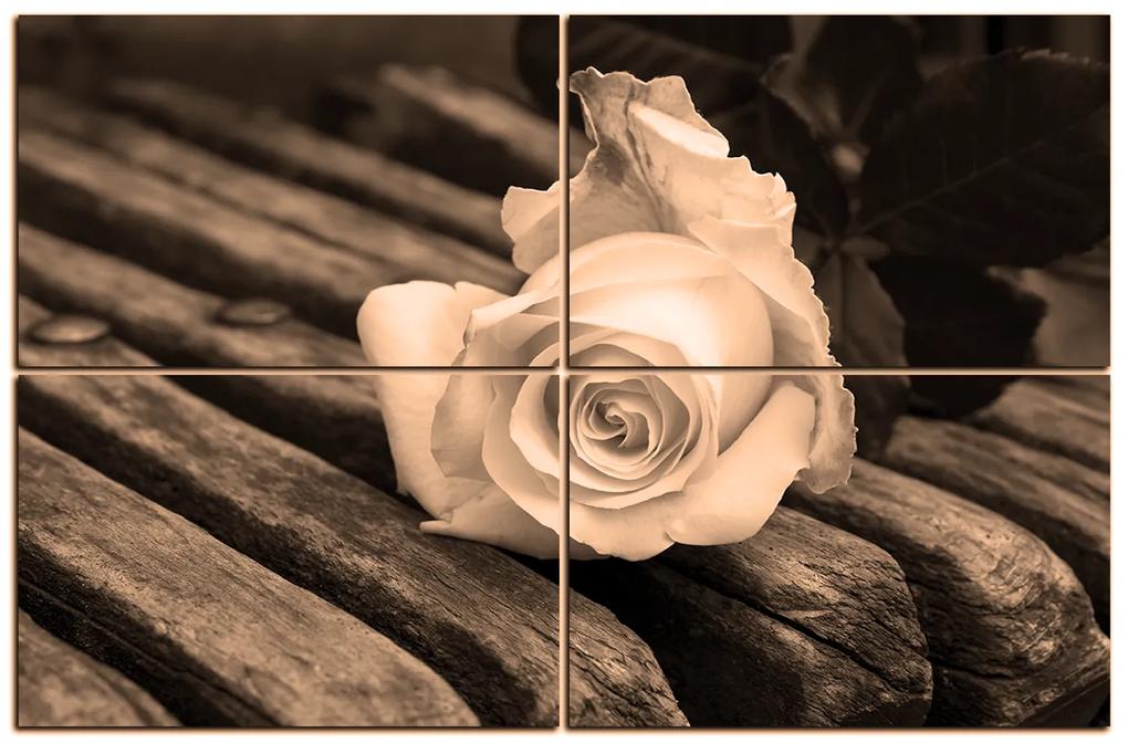 Obraz na plátně - Bílá růže na lavici  1224FE (120x80 cm)