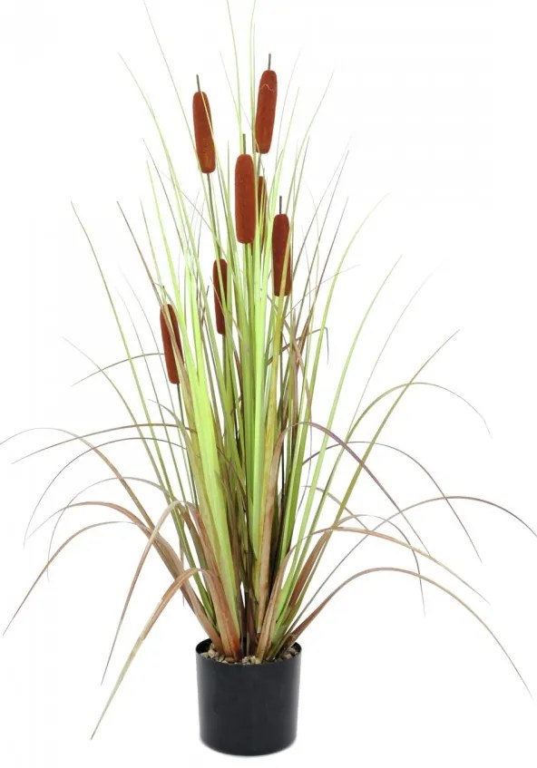 Umělá květina - Typha angustifolia, 120 cm