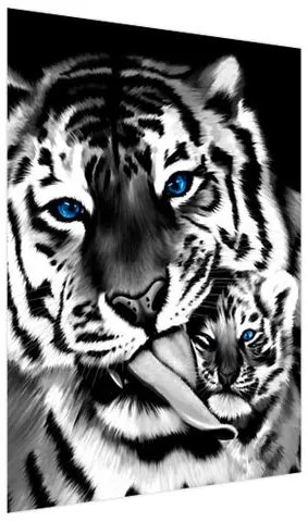 Fototapeta Černobílý tygr a tygřík 150x200cm FT2574A_2M