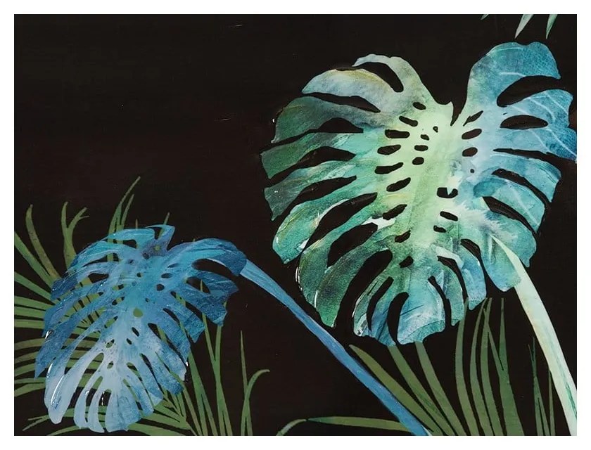 Nástěnný obraz Santiago Pons Plants Bobby, 80 x 80 cm