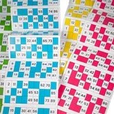 Bigjigs Toys Tradiční Bingo