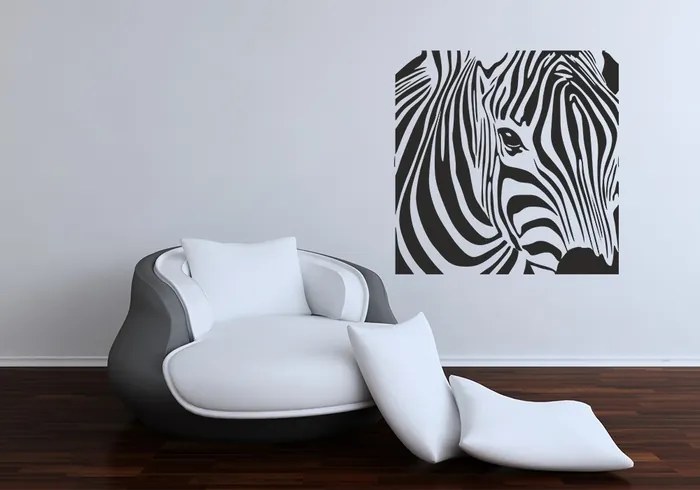Samolepka na zeď Zebra ve čtverci - 60 x 60 cm