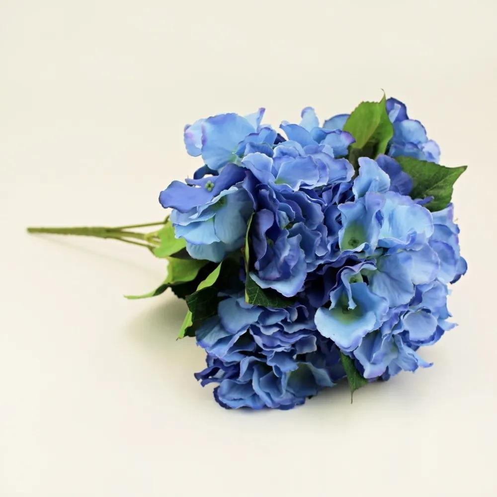 Hortenzie modrá 5 květů, 48cm
