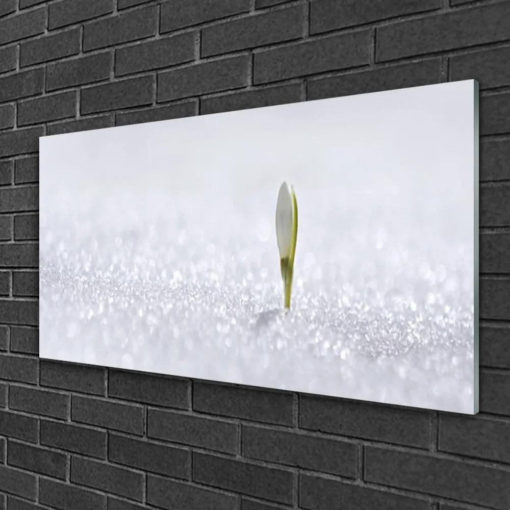 Obraz na skle Sněženka Sníh Zima 120x60 cm