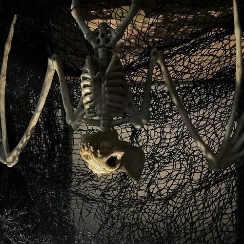 Dekorace Halloween kostra netopýra Halloween 30 cm Malatec 22005