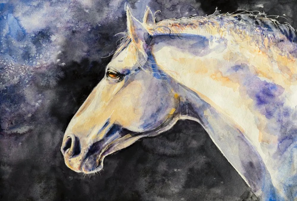 Obraz Světlý Kůň Na Tmavém Pozadí Nedostatek Nedostatek Plátno Canvas 30x20
