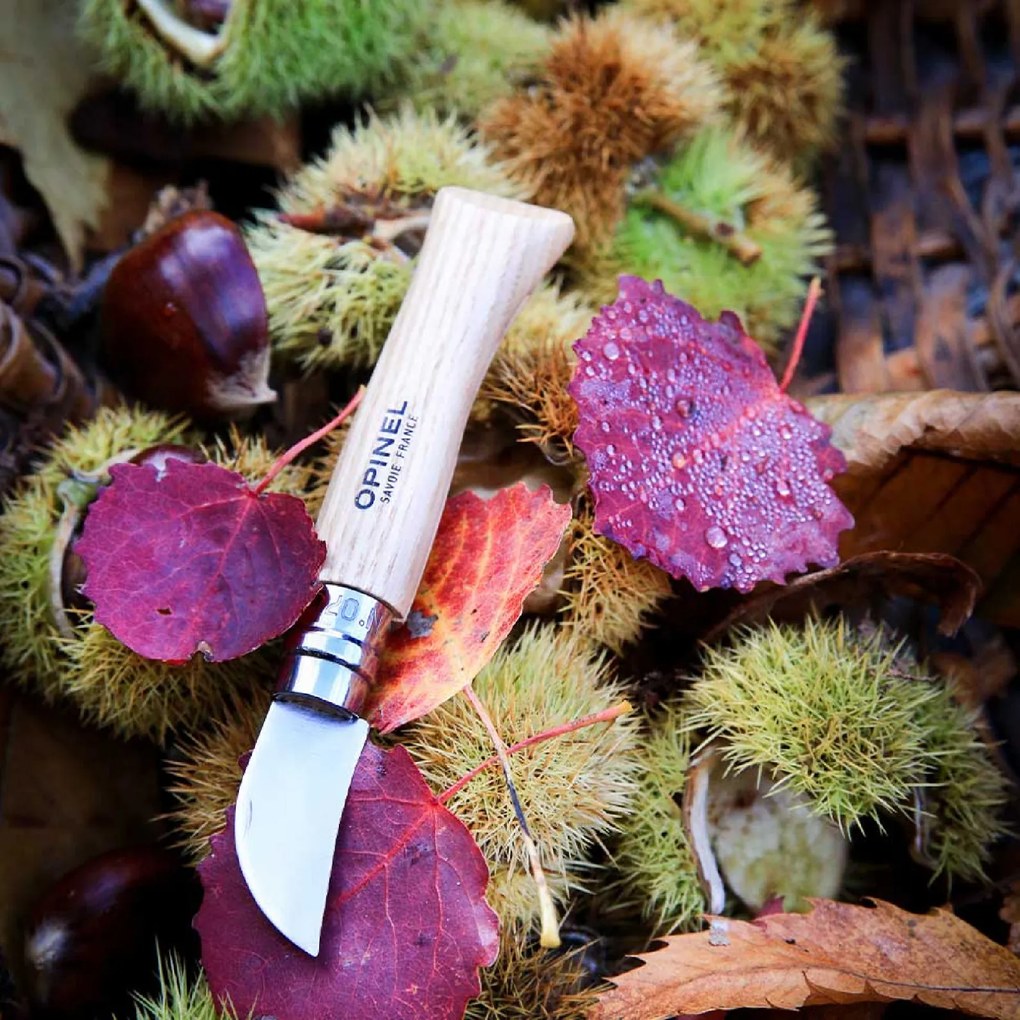 Opinel Nomad N°07 nůž na kaštany a česnek 4 cm, 002360