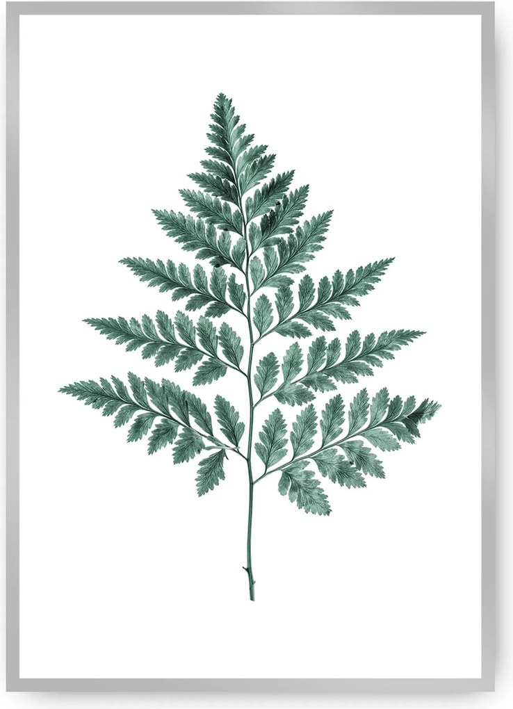 Plakát Fern Emerald Green