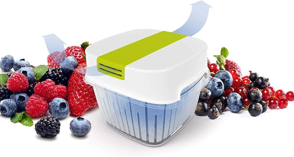 Rotho Speciální box na ovoce a zeleninu, s ventilací a filtrem, do lednice, Fridge Fresh,1,6l