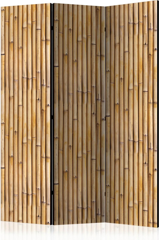 XXXLutz PARAVÁN, 135/172/3 cm artgeist - 004875047001