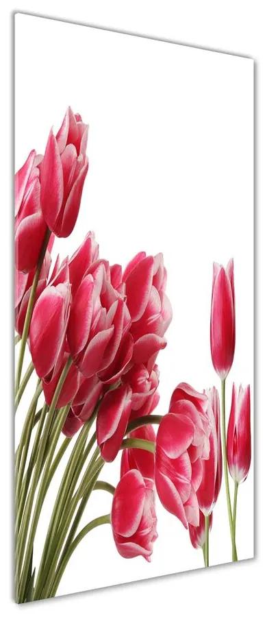 Wallmuralia Fotoobraz na skle Červené tulipány 50x125 cm