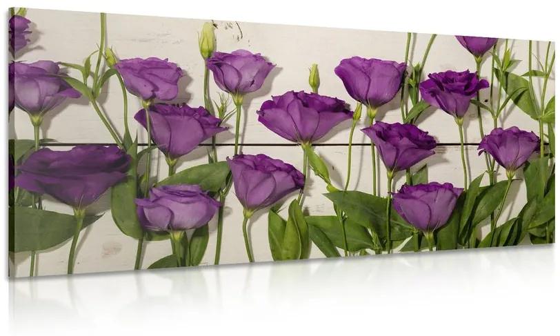 Obraz nádherné fialové květy