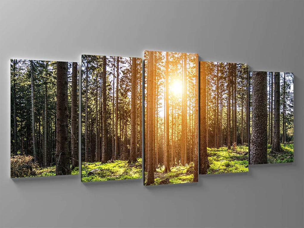 Liox Obraz ráno v lese Rozměr: 250 x 110 cm