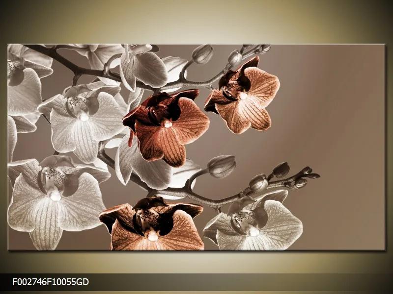 Obraz třech hnědých květin  (), 40 dalších rozměrů