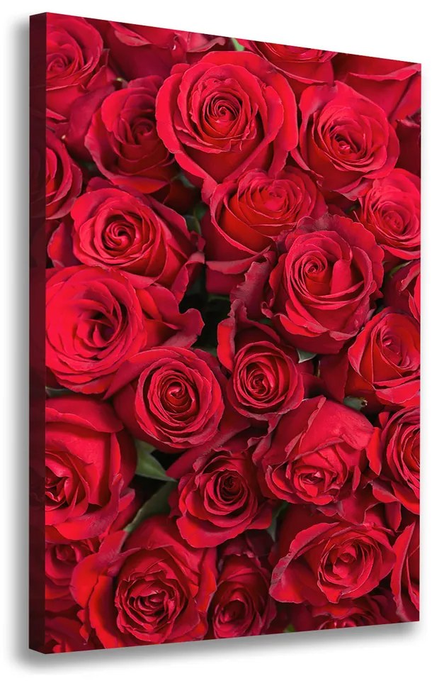 Wallmuralia Foto-obraz canvas do obýváku Červené růže 70x100 cm