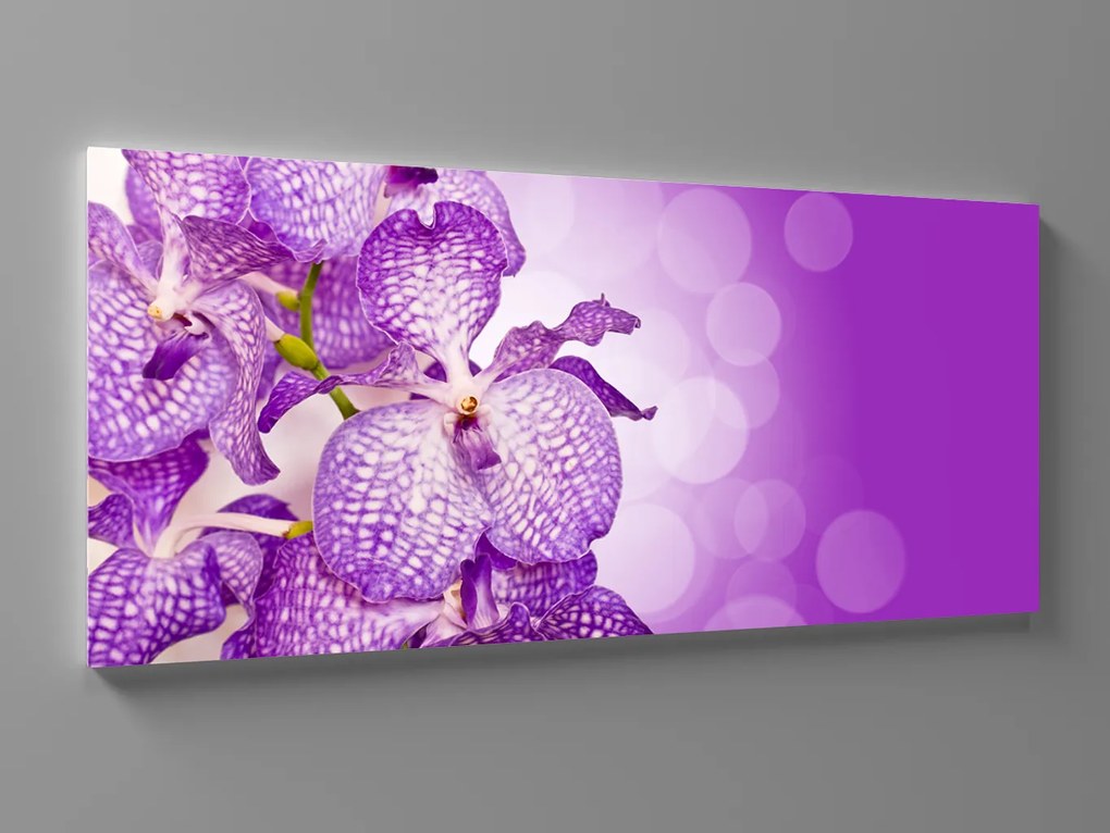 Obraz fialová orchidej Rozměr: 100 x 45 cm